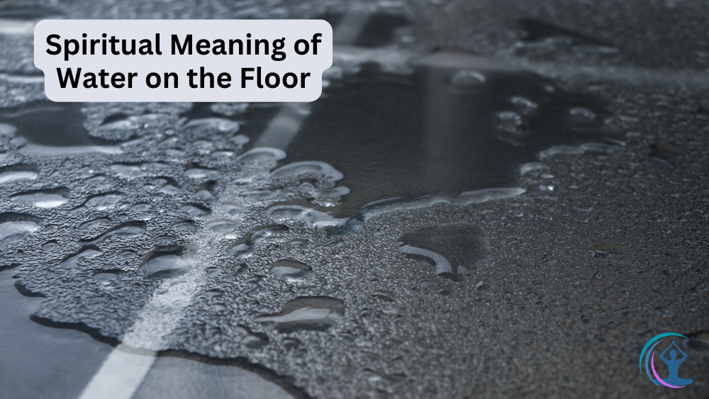Spiritual Meaning of Water on the Floor - The Flow Living