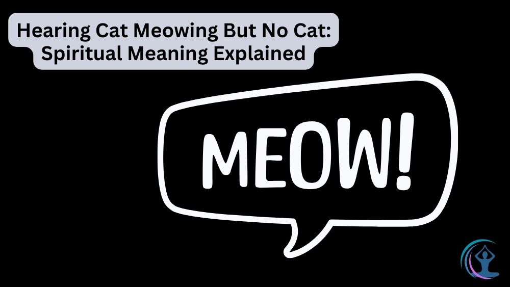 Hearing Cat Meowing But No Cat: Spiritual Meaning Explained - The Flow ...